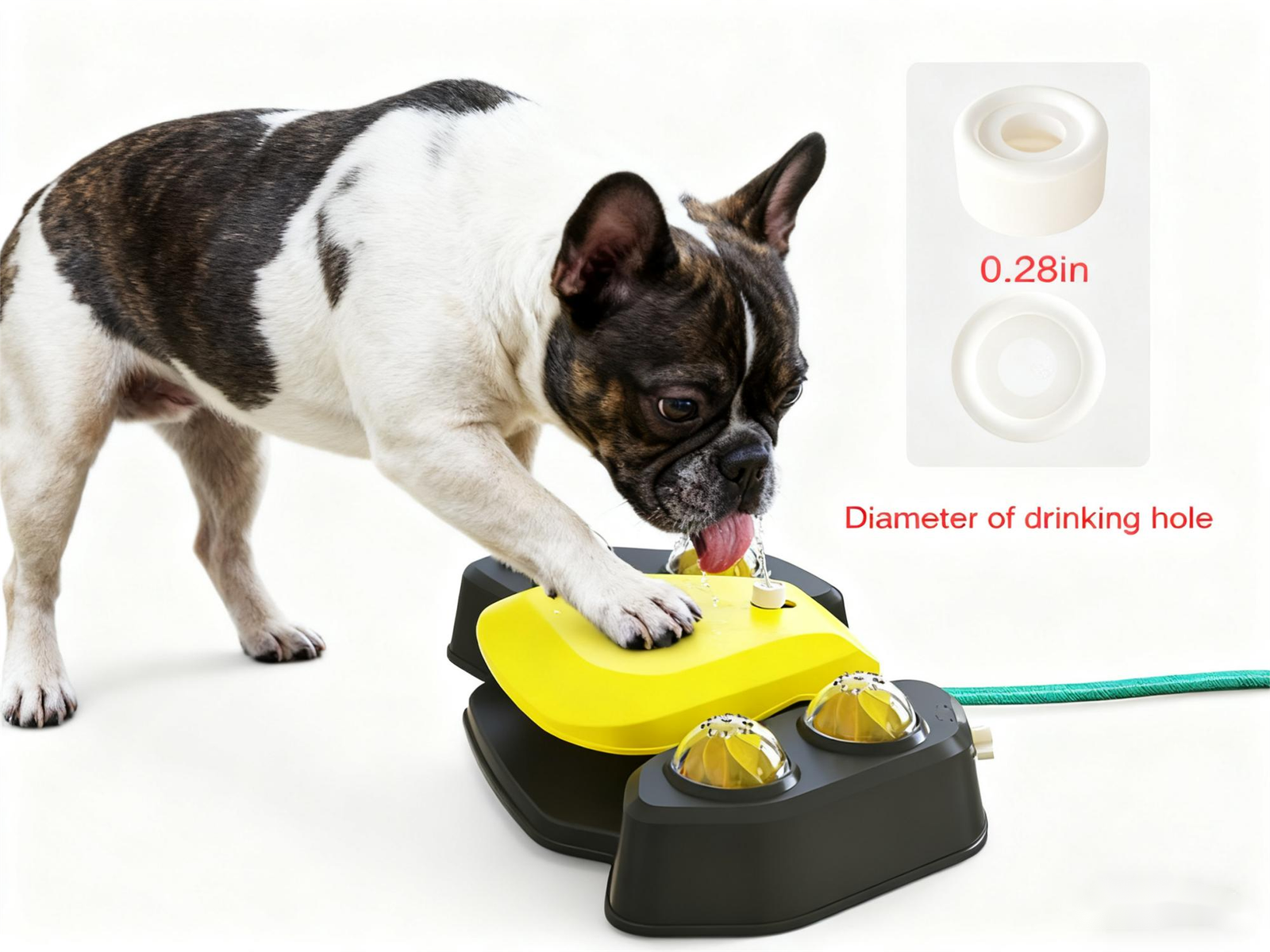 Dog Water Dispenser Outdoor - Pet Toy Manufacturer